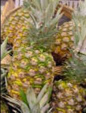 Hawaiian Genocide